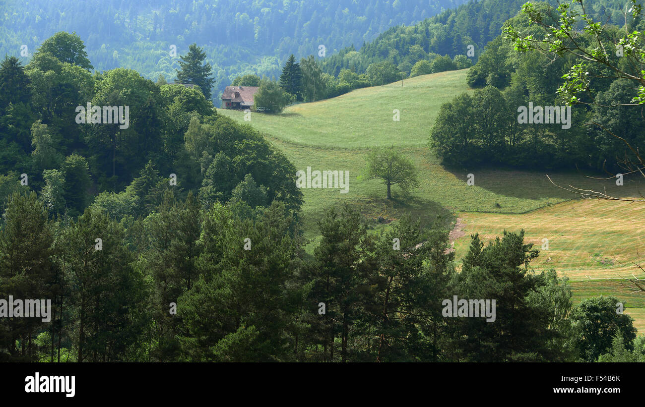 Montagne dei vosgi immagini e fotografie stock ad alta risoluzione - Alamy
