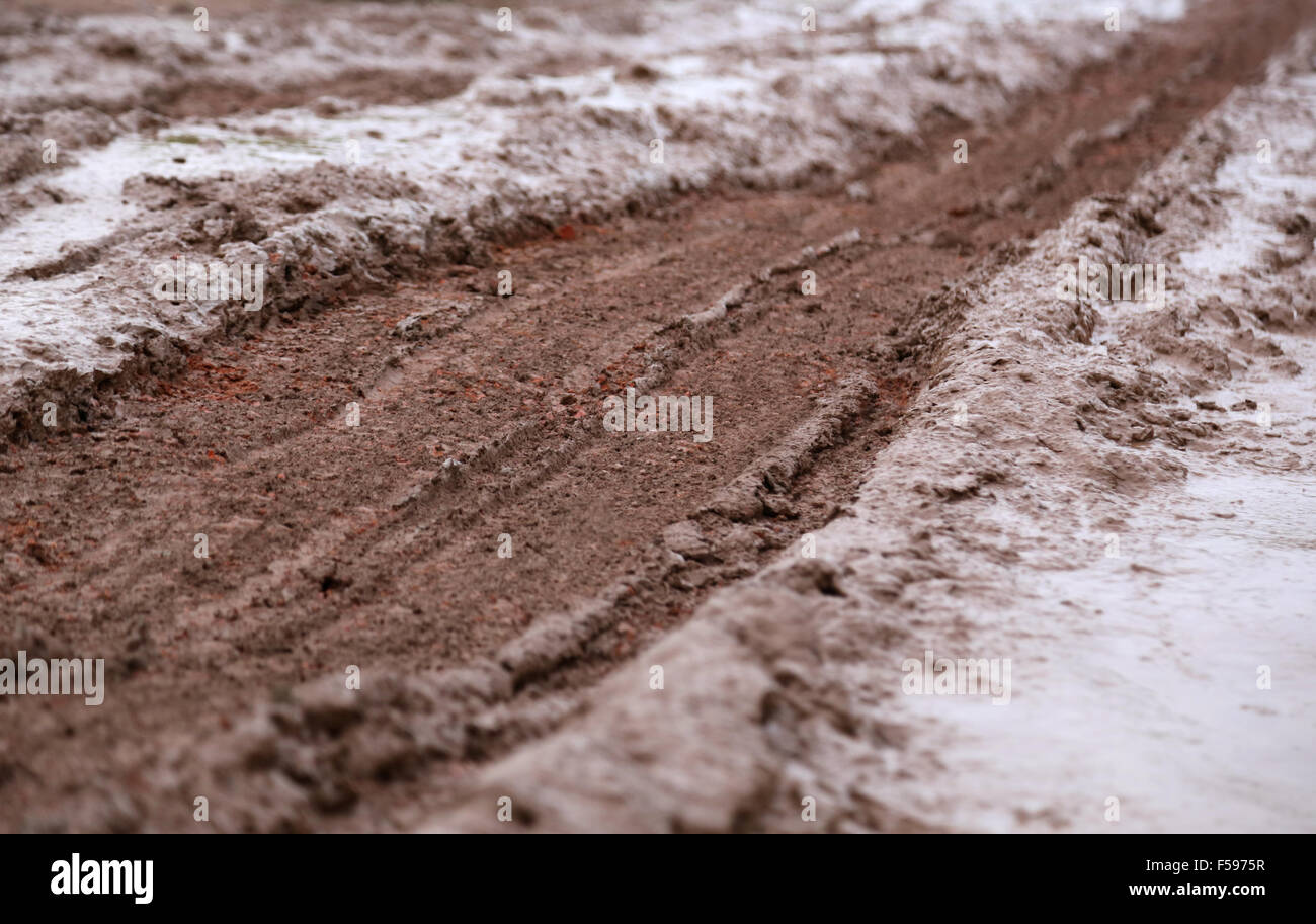 Campagna del bangladesh immagini e fotografie stock ad alta risoluzione ...