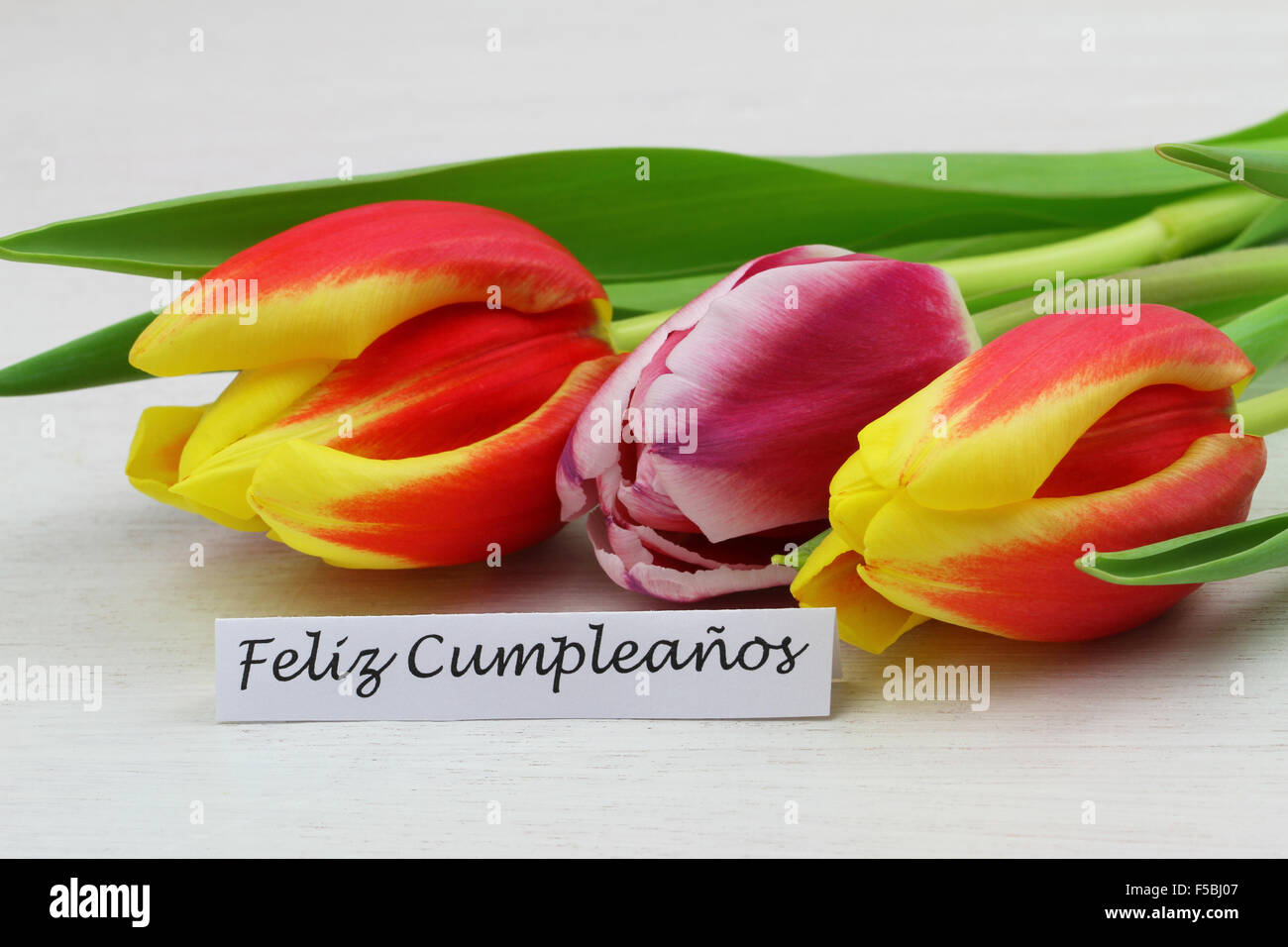 Feliz cumpleanos (che significa buon compleanno in spagnolo) card con ...