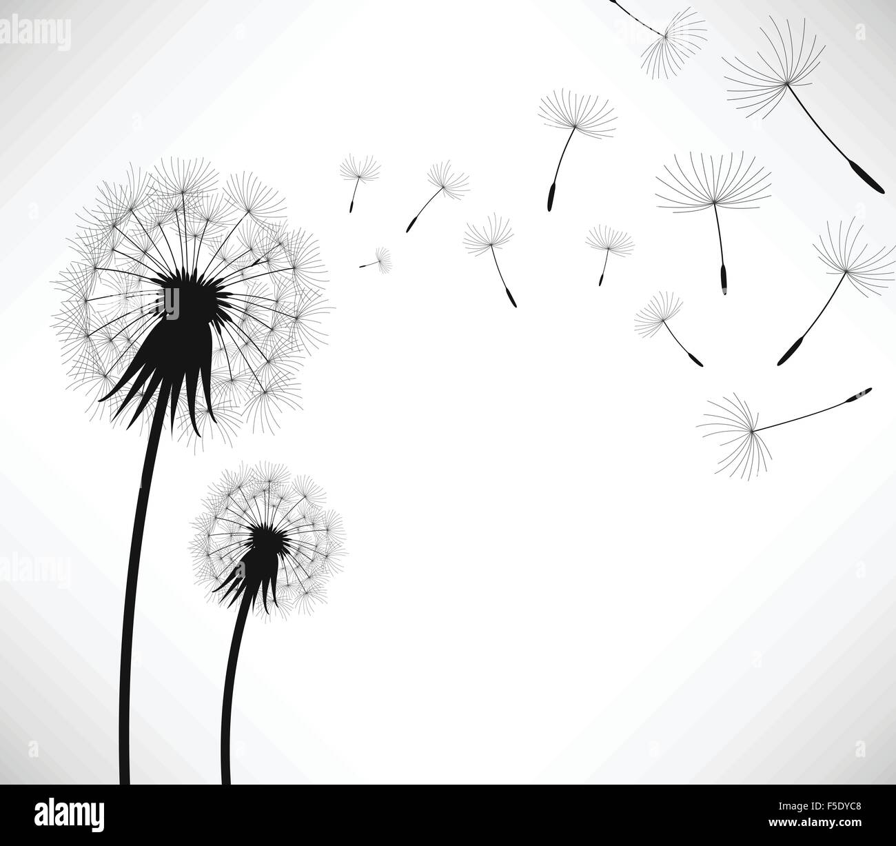 Pianta con seme soffiato dal vento Immagini Vettoriali Stock - Alamy