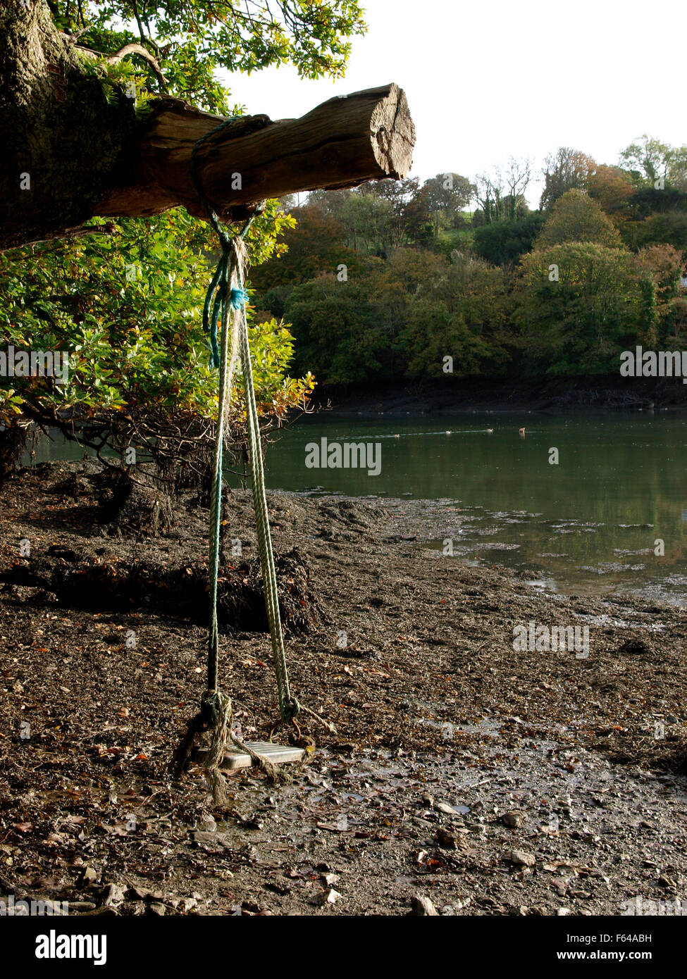 Ramo di un albero e altalena immagini e fotografie stock ad alta ...