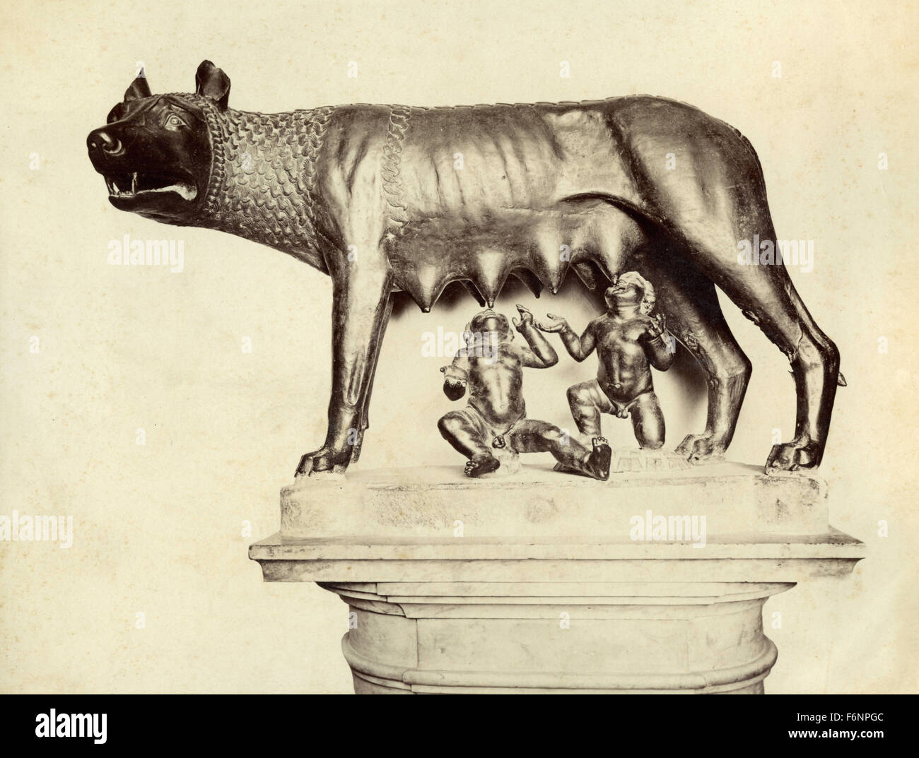 Lupo lupa capitolina art immagini e fotografie stock ad alta ...