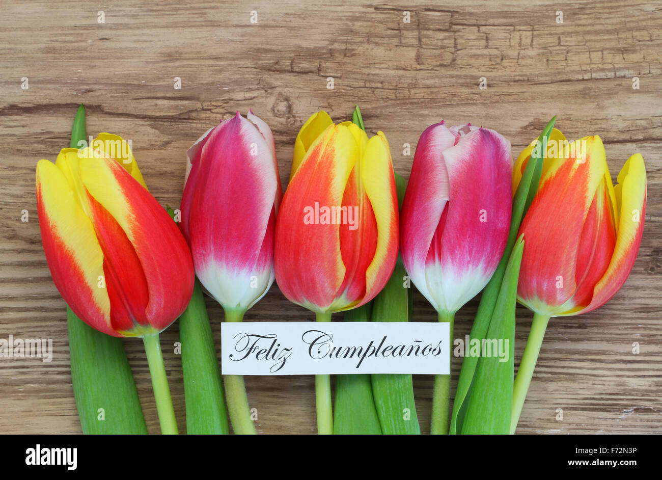 Feliz cumpleanos (che significa buon compleanno in spagnolo) card con ...