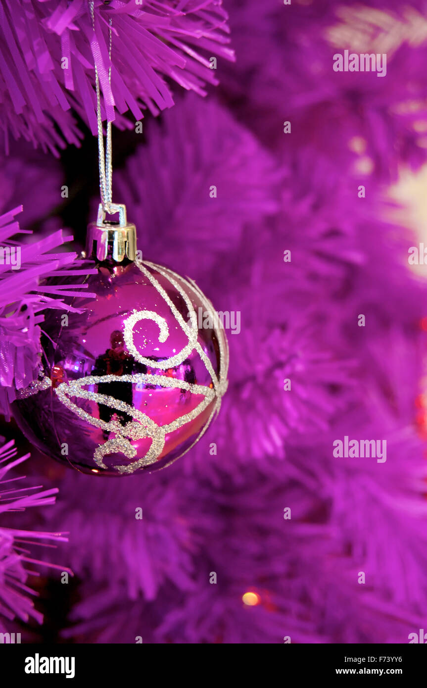 Viola tree immagini e fotografie stock ad alta risoluzione - Alamy