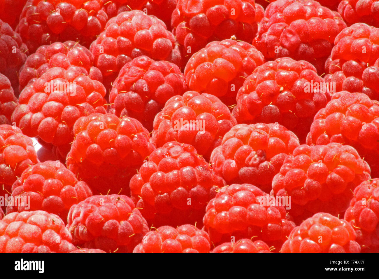 Sfondo di colore rosso immagini e fotografie stock ad alta risoluzione ...
