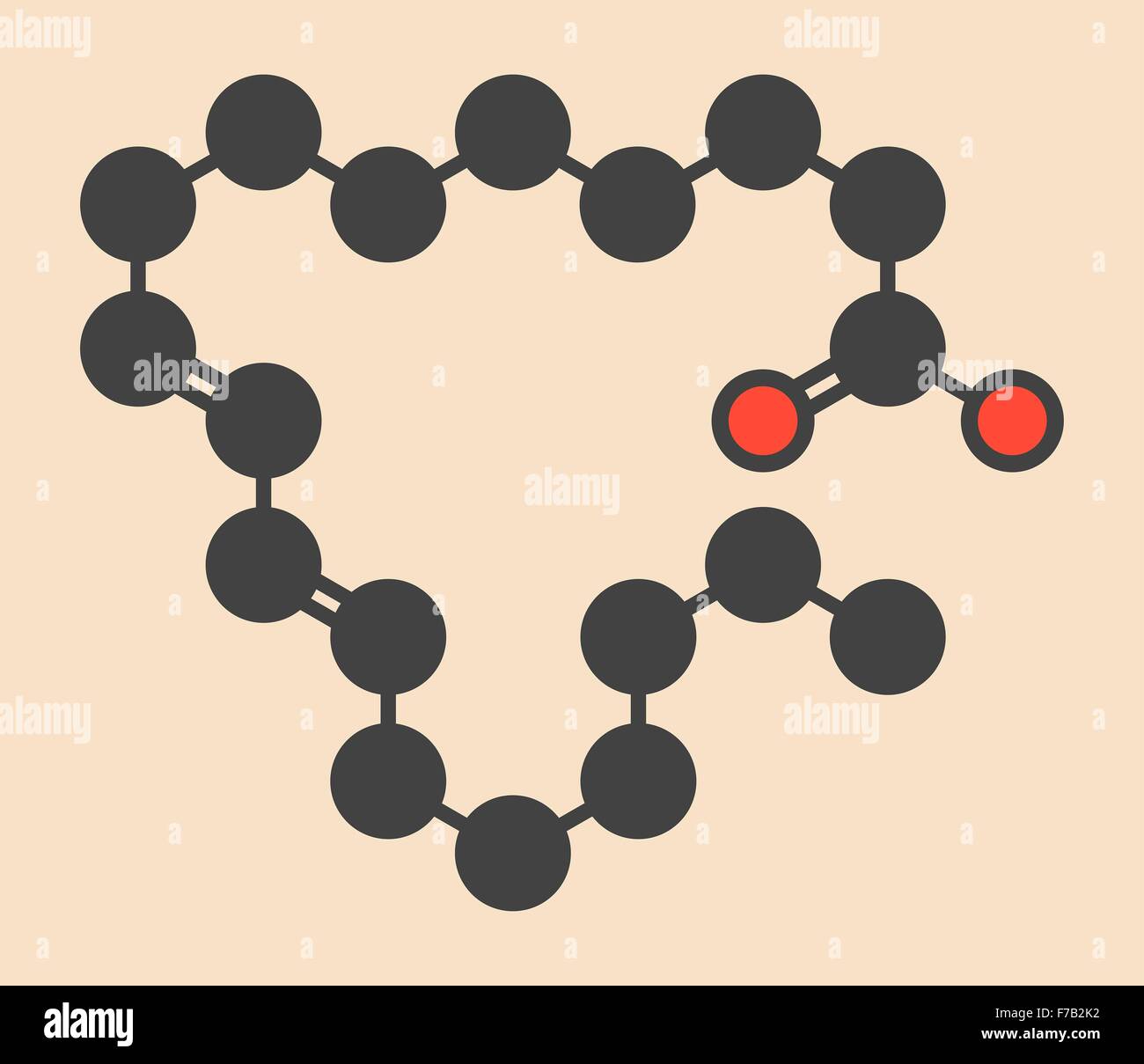 Acido coniugato immagini e fotografie stock ad alta risoluzione - Alamy