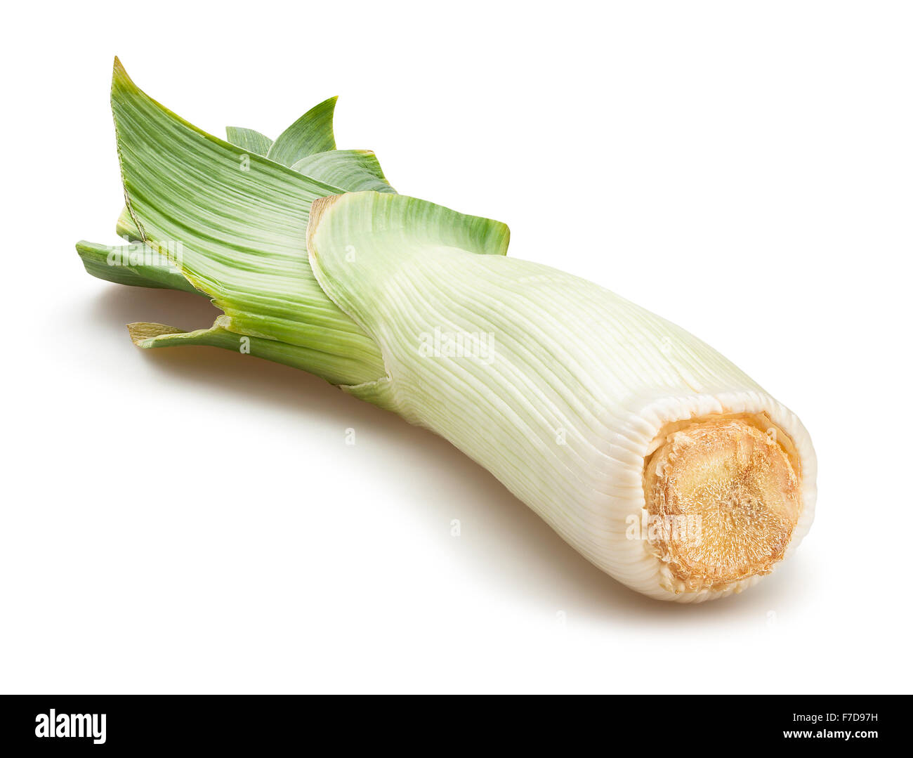 Intero porro immagini e fotografie stock ad alta risoluzione - Alamy