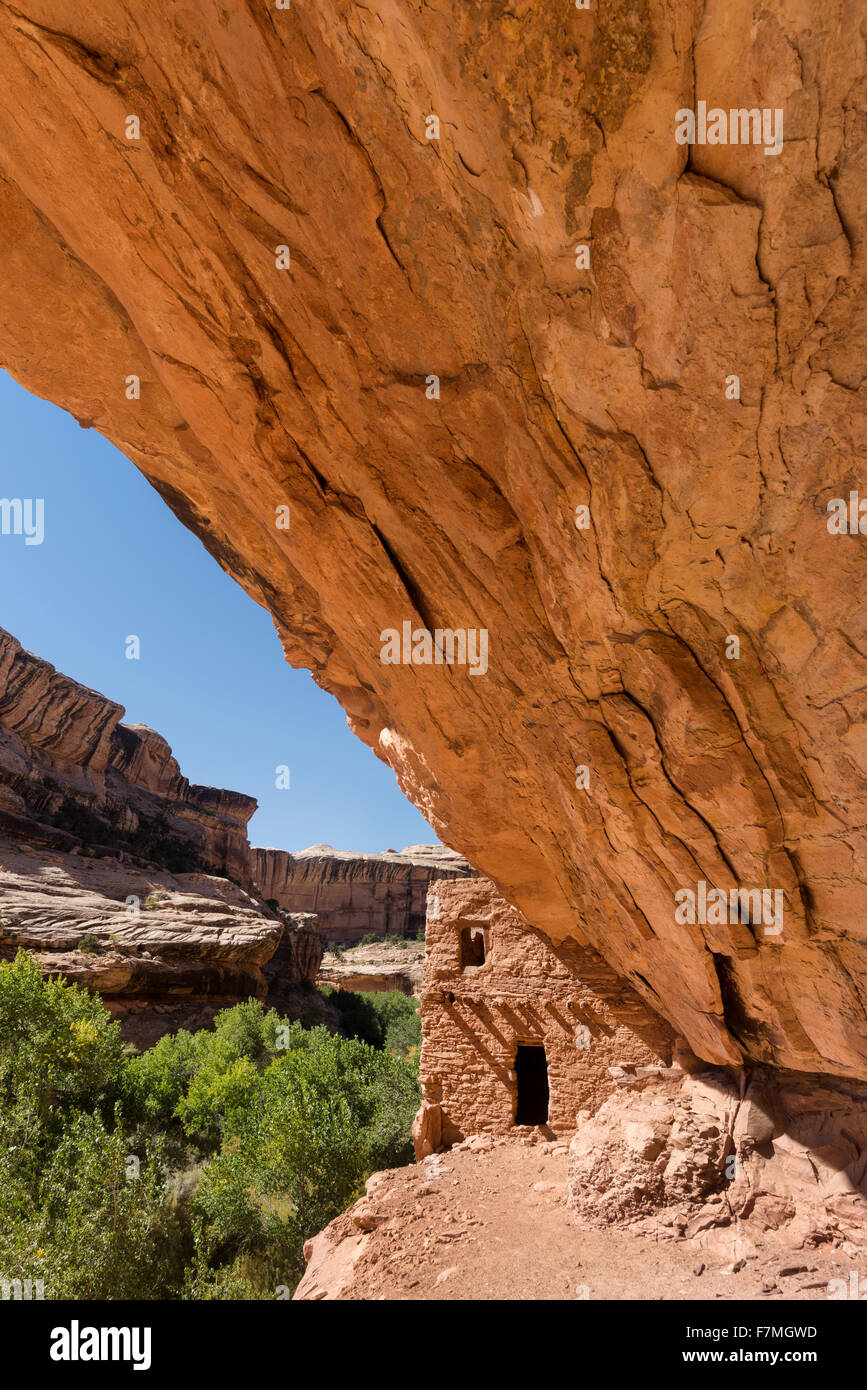 Dimora ancestrale della rupe pueblo immagini e fotografie stock ad alta ...