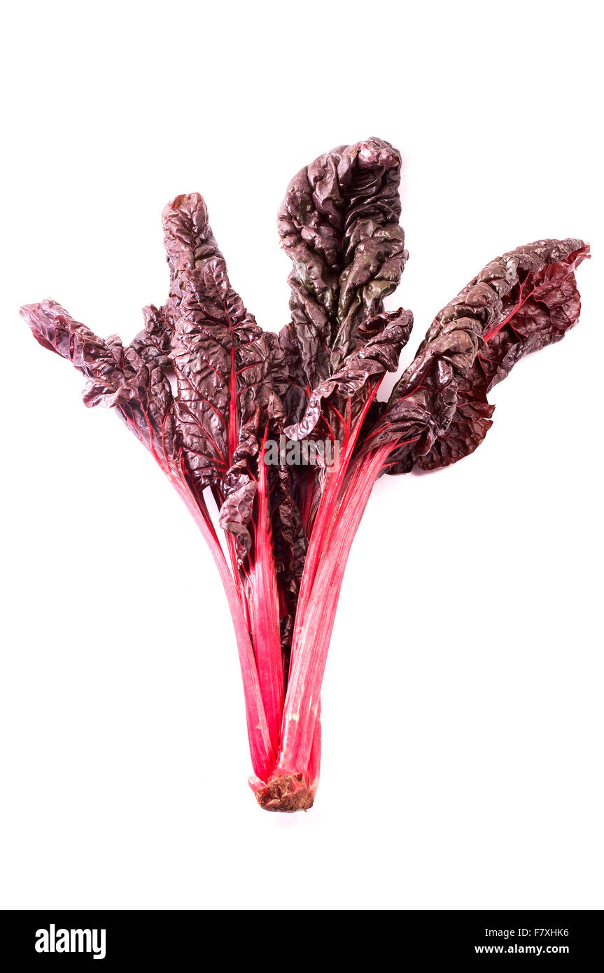 Foglie di barbabietola rossa immagini e fotografie stock ad alta ...