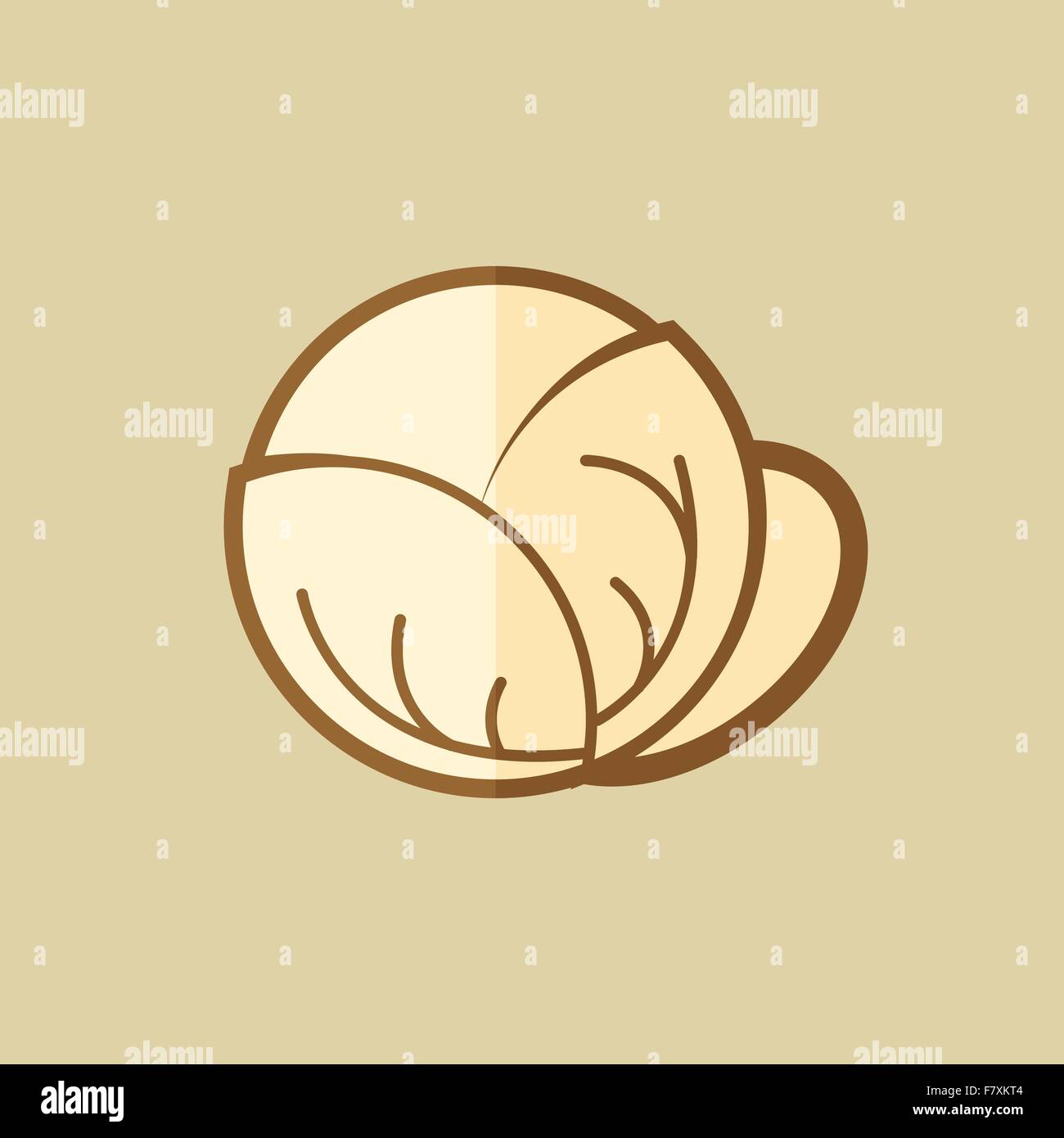 Cavolo testa Immagini Vettoriali Stock - Alamy