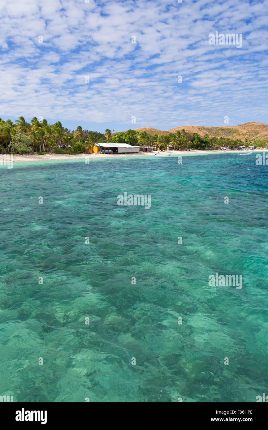 Fijian ratu immagini e fotografie stock ad alta risoluzione - Alamy