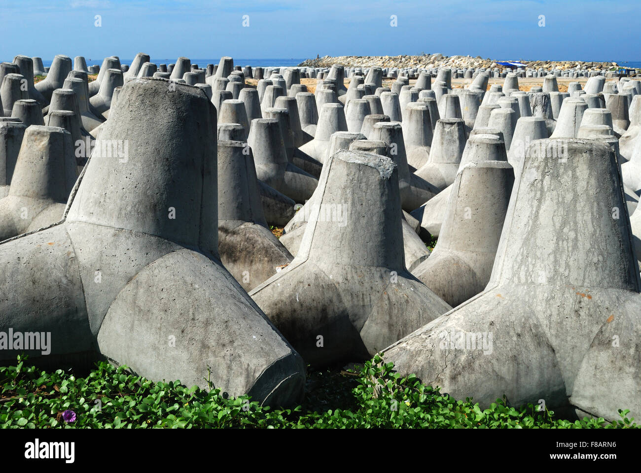 Spiaggia di perumathura immagini e fotografie stock ad alta risoluzione ...