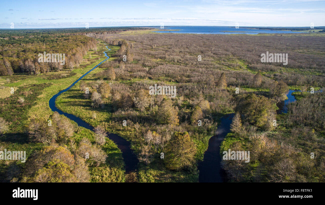 Alachua florida immagini e fotografie stock ad alta risoluzione - Alamy