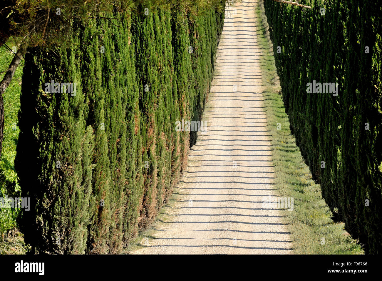 Corsia toscana immagini e fotografie stock ad alta risoluzione - Alamy