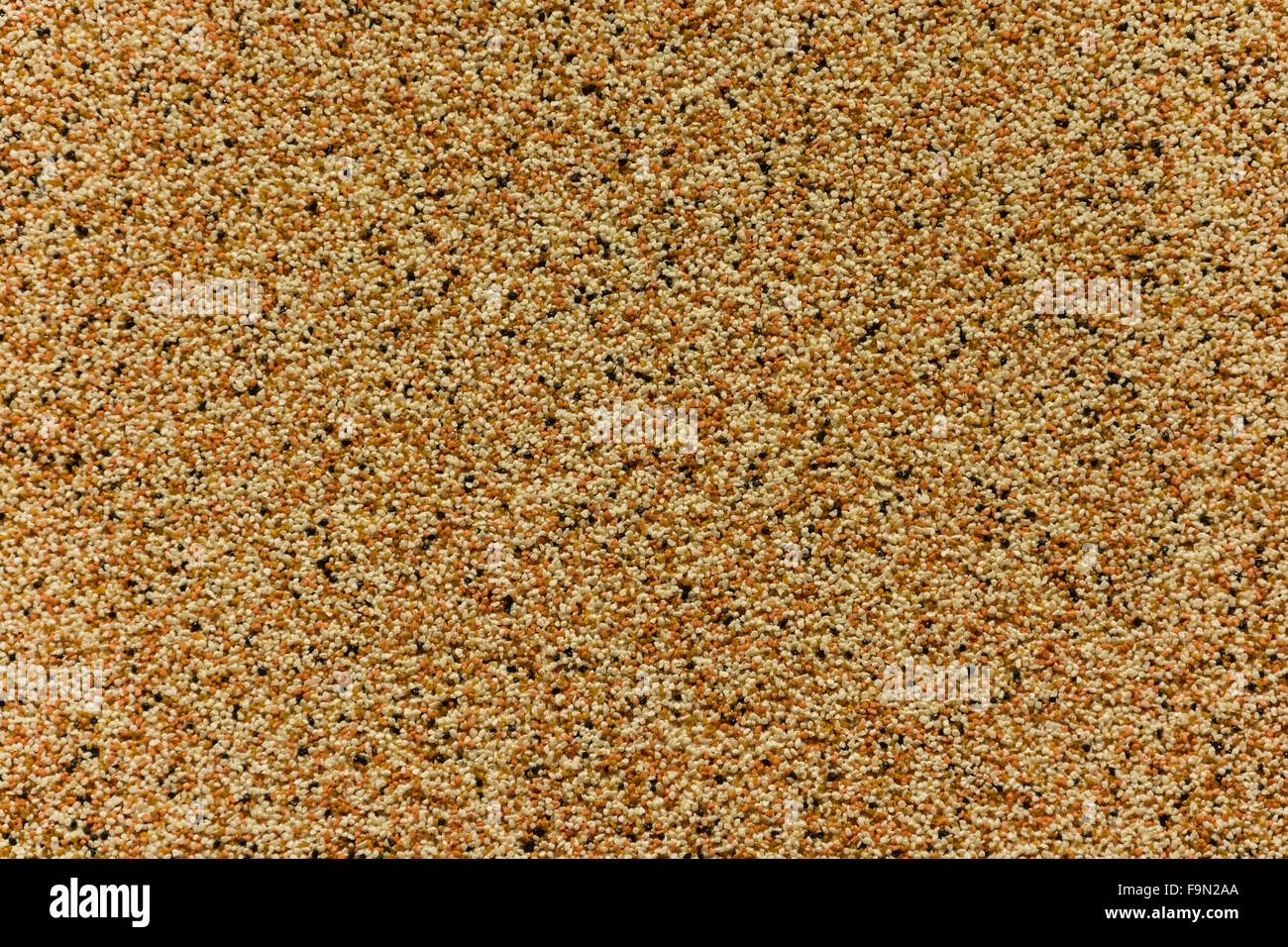 Intonaco grossolano immagini e fotografie stock ad alta risoluzione - Alamy