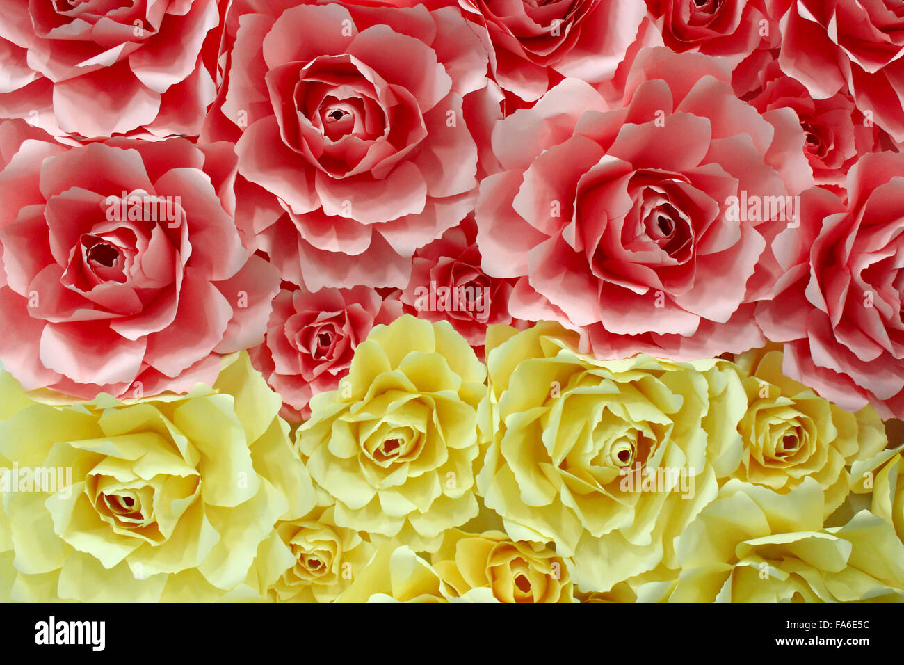 Cartapesta rosa immagini e fotografie stock ad alta risoluzione - Alamy