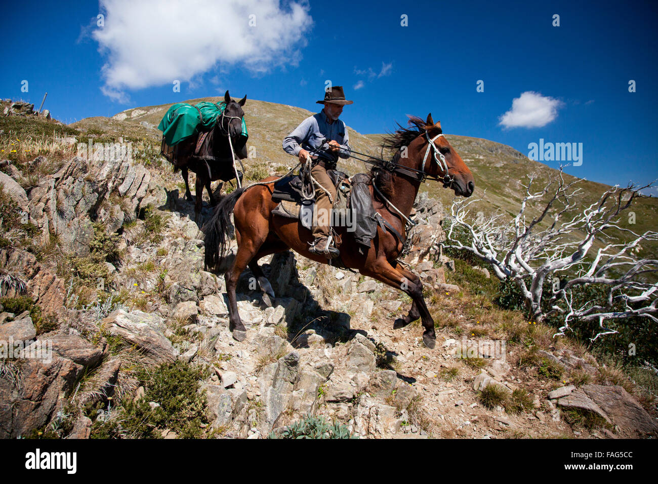 Turismo rurale country equino cavallo da corsa immagini e fotografie ...
