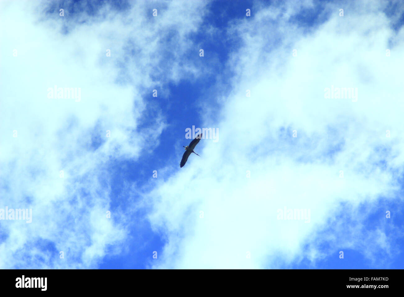Vivere nel cielo immagini e fotografie stock ad alta risoluzione - Alamy