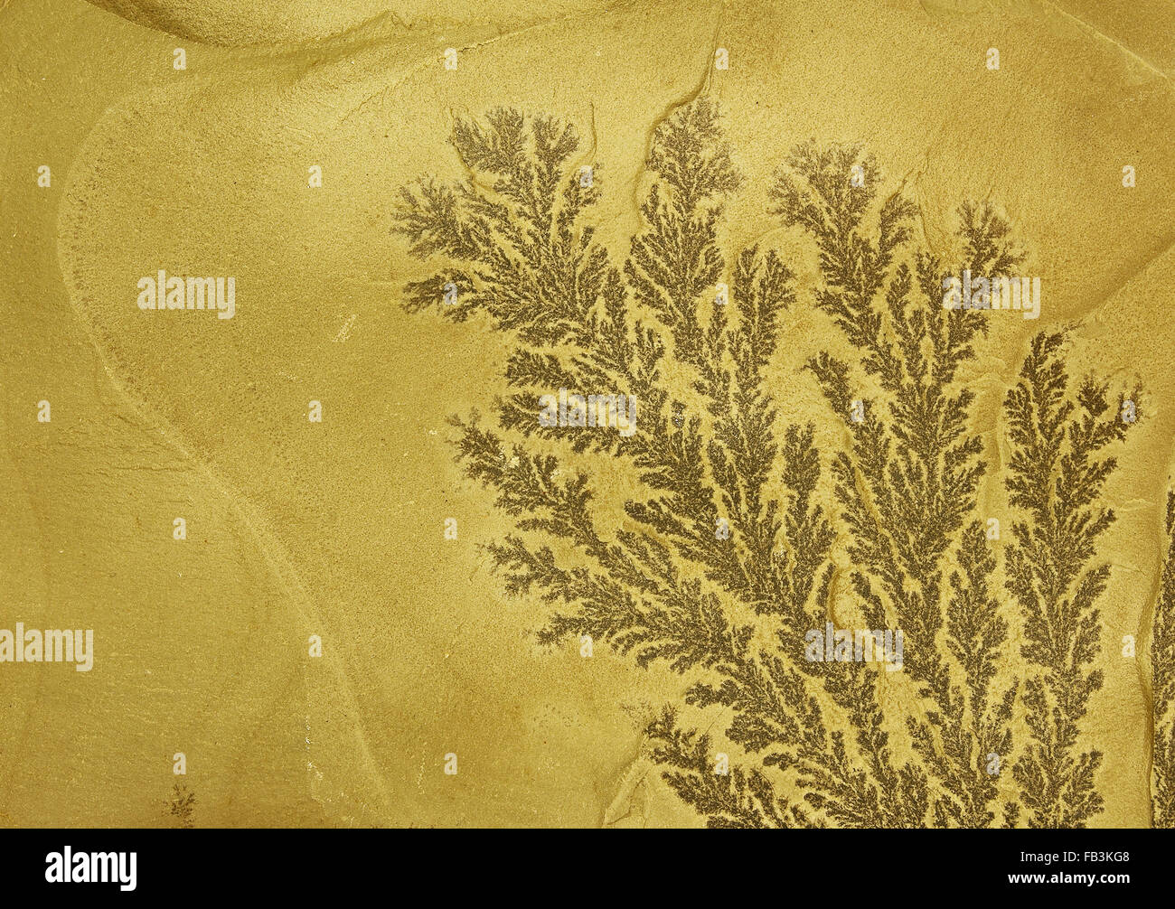 Dendrite pattern immagini e fotografie stock ad alta risoluzione - Alamy