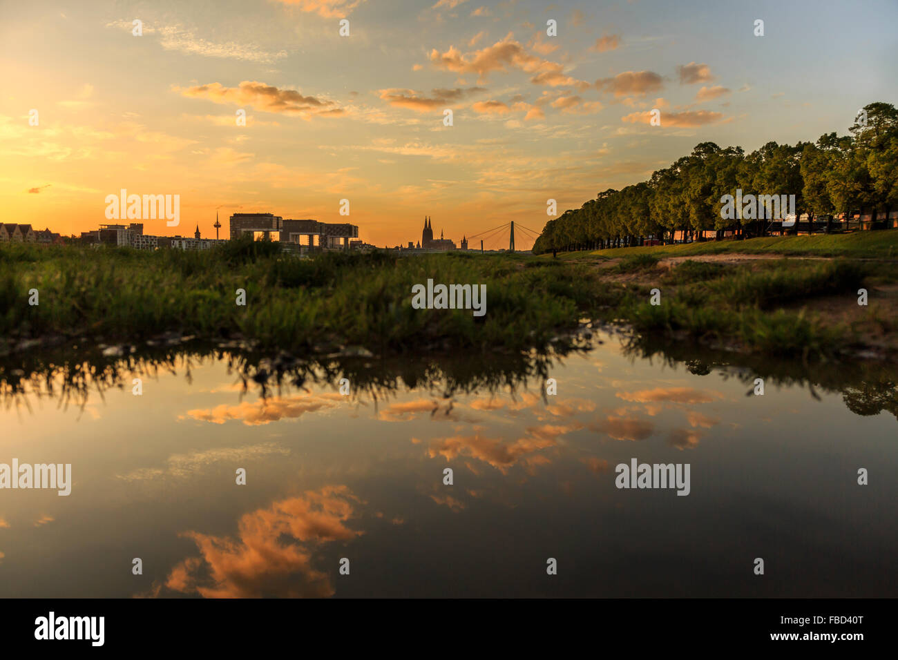 Rive del reno immagini e fotografie stock ad alta risoluzione - Alamy
