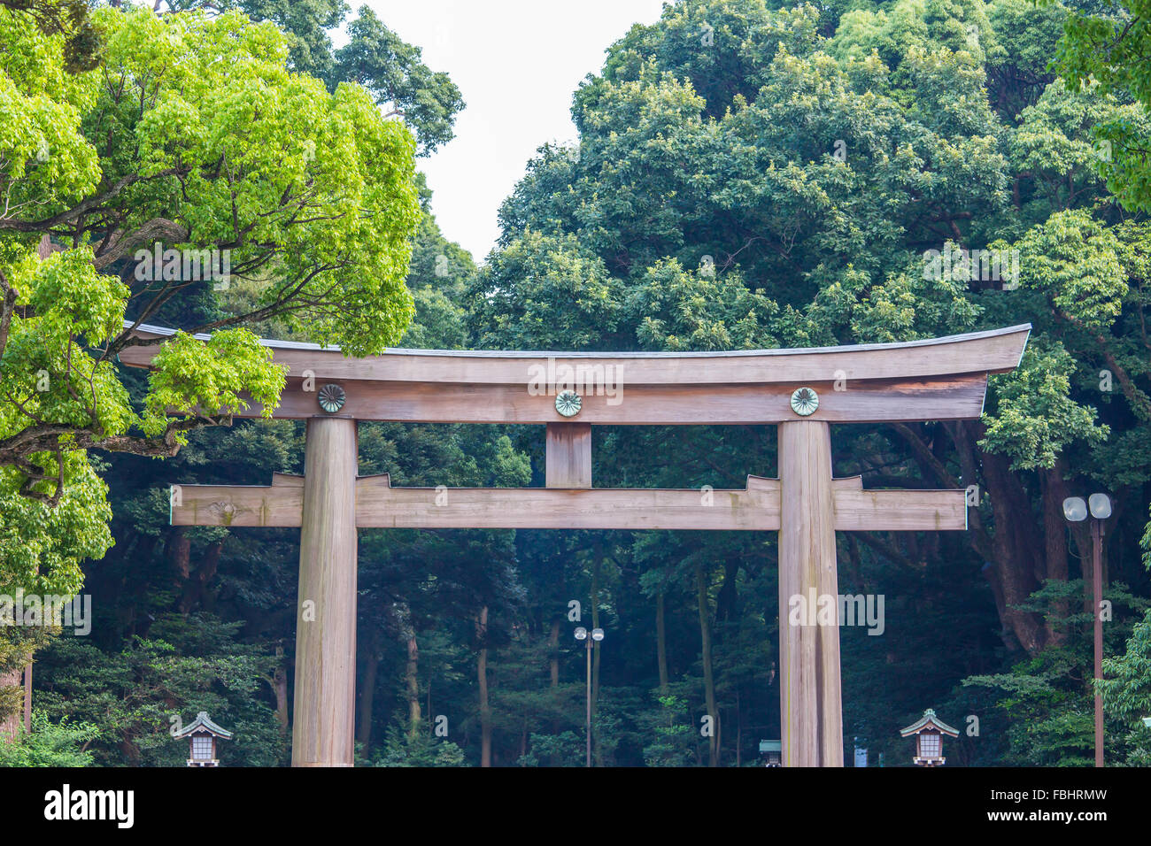 Primavera nella foresta di meiji jingu immagini e fotografie stock ad ...