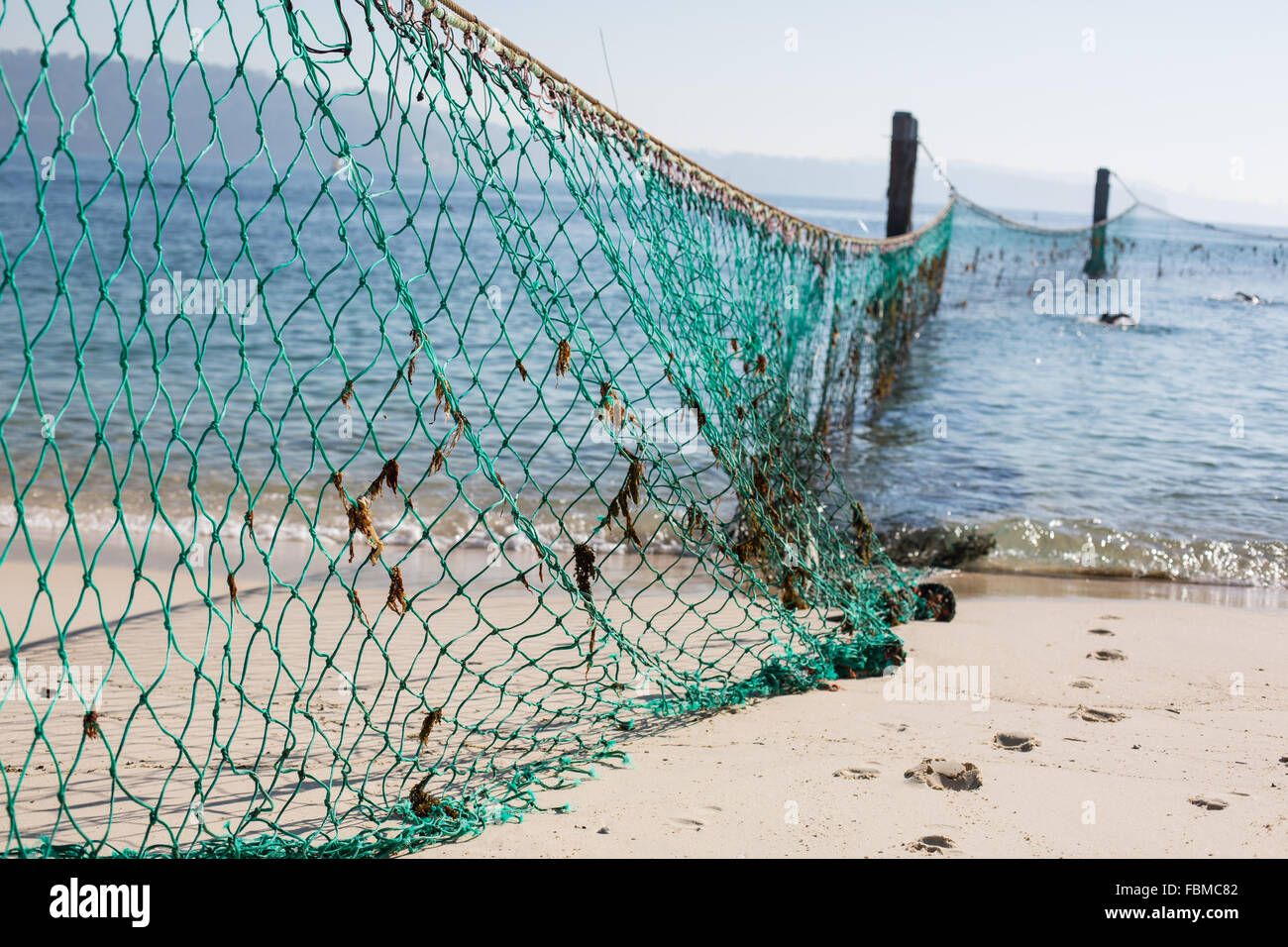 Reti Per La Pesca Immagini e Fotos Stock - Alamy