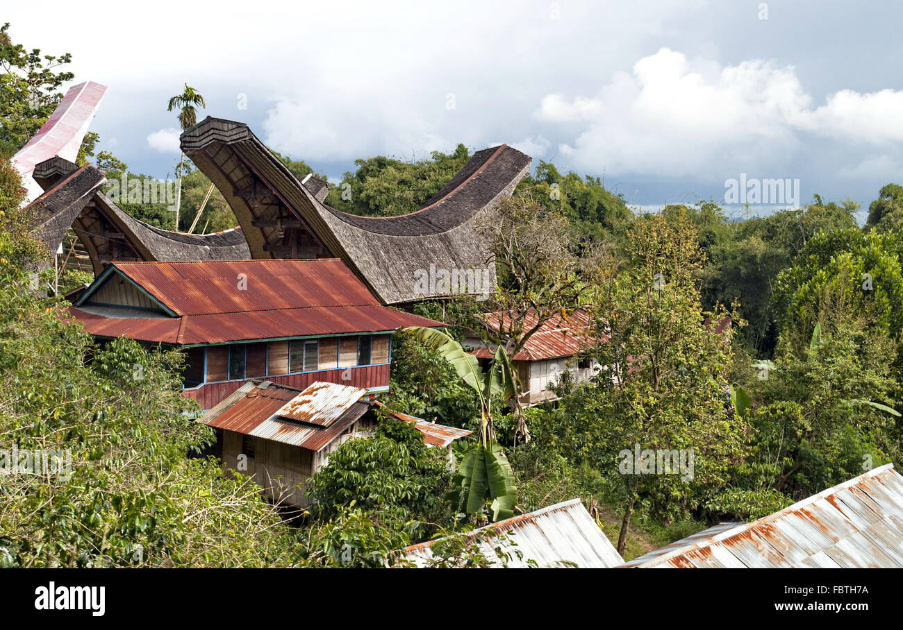 Villaggio di toraja immagini e fotografie stock ad alta risoluzione - Alamy
