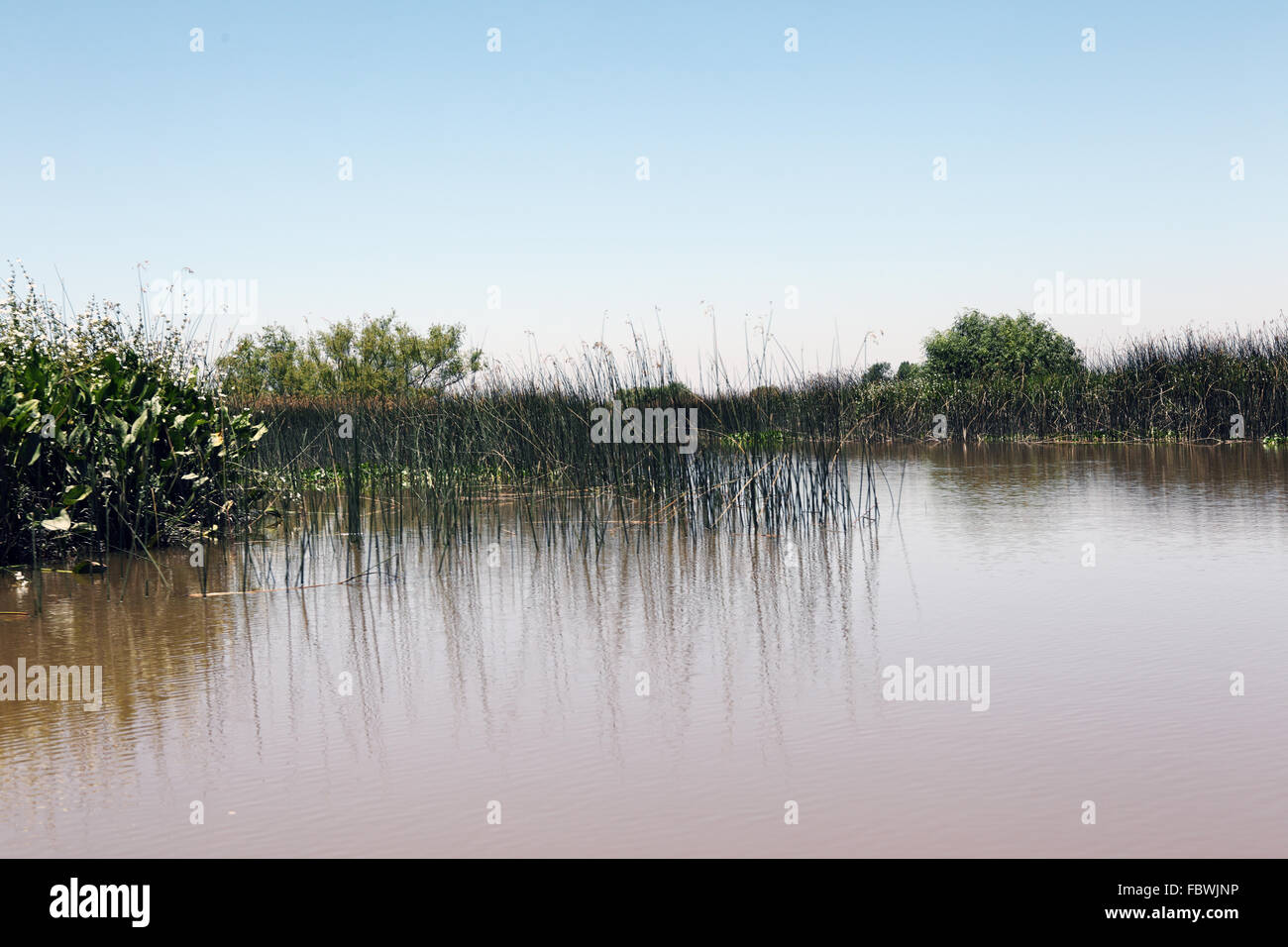 Dreckiges wasser immagini e fotografie stock ad alta risoluzione - Alamy