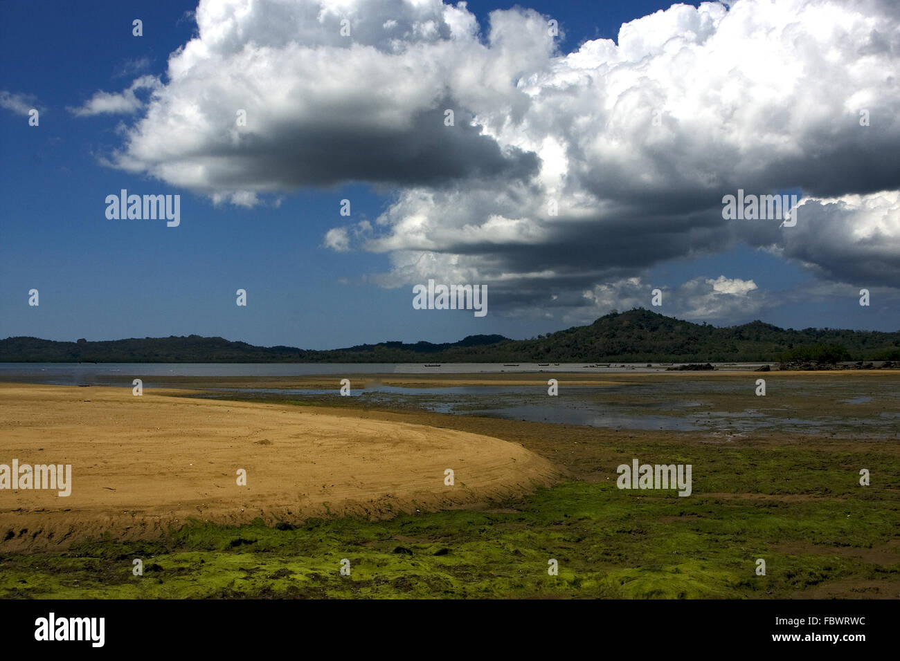 Riserva di lokobe immagini e fotografie stock ad alta risoluzione - Alamy