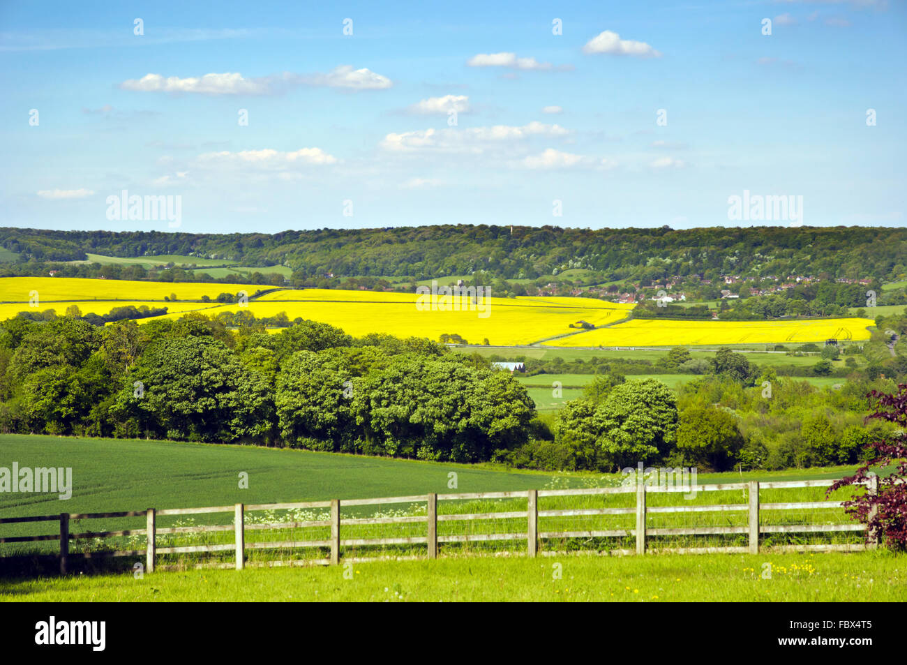 The chilterns immagini e fotografie stock ad alta risoluzione - Alamy
