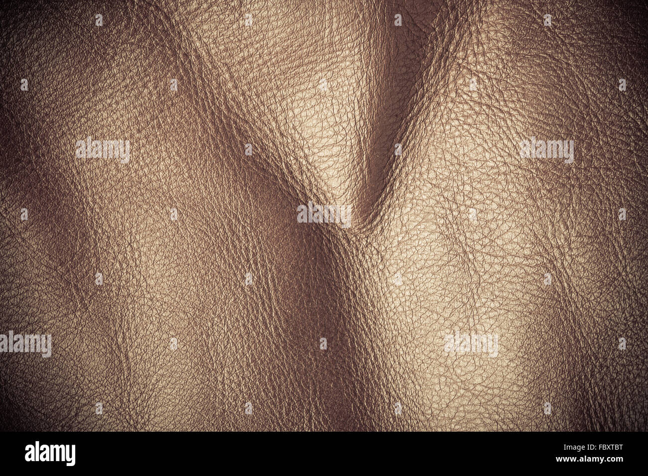 Pelle ondulata immagini e fotografie stock ad alta risoluzione - Alamy