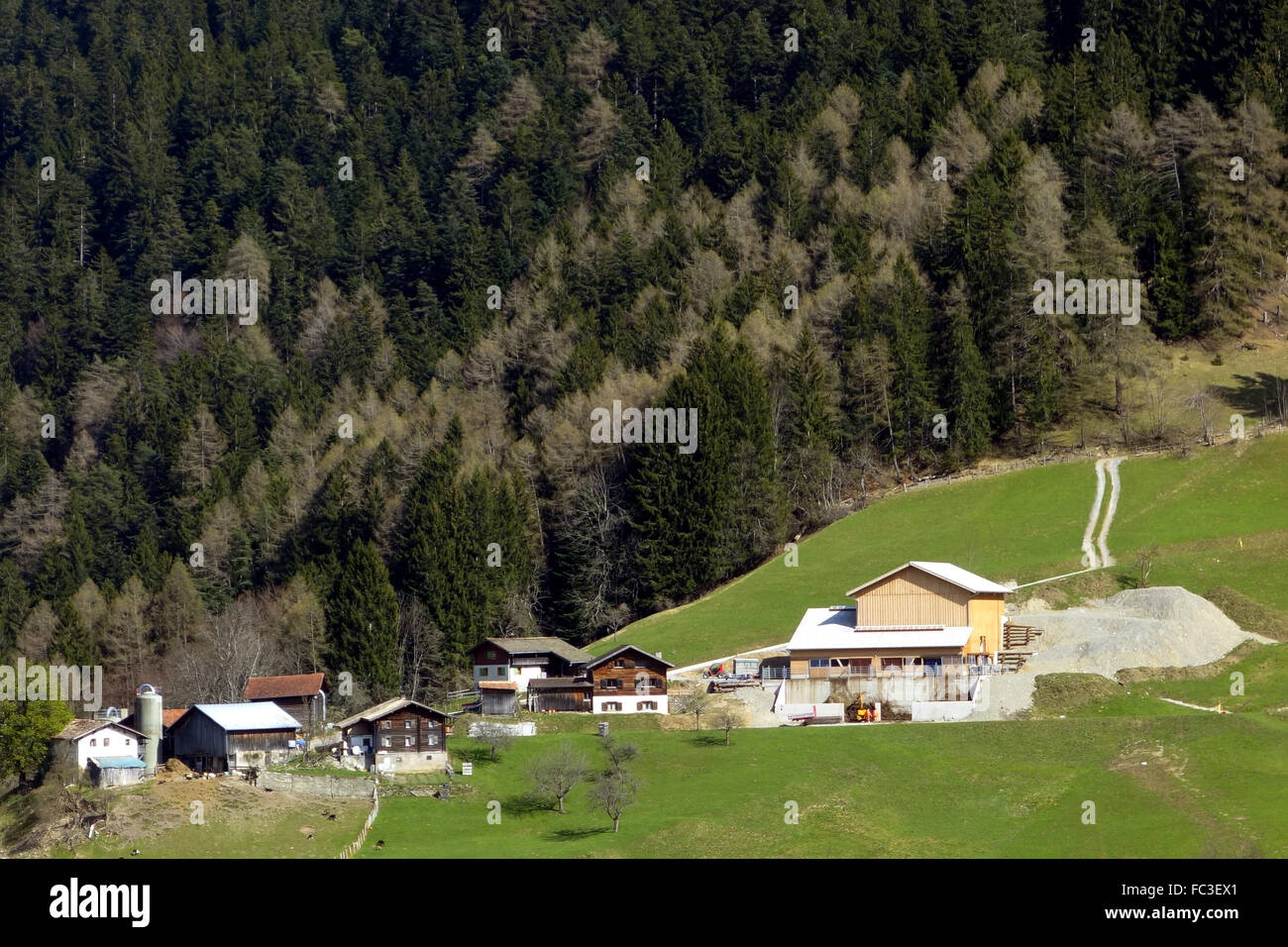 Muere en el tirol immagini e fotografie stock ad alta risoluzione - Alamy