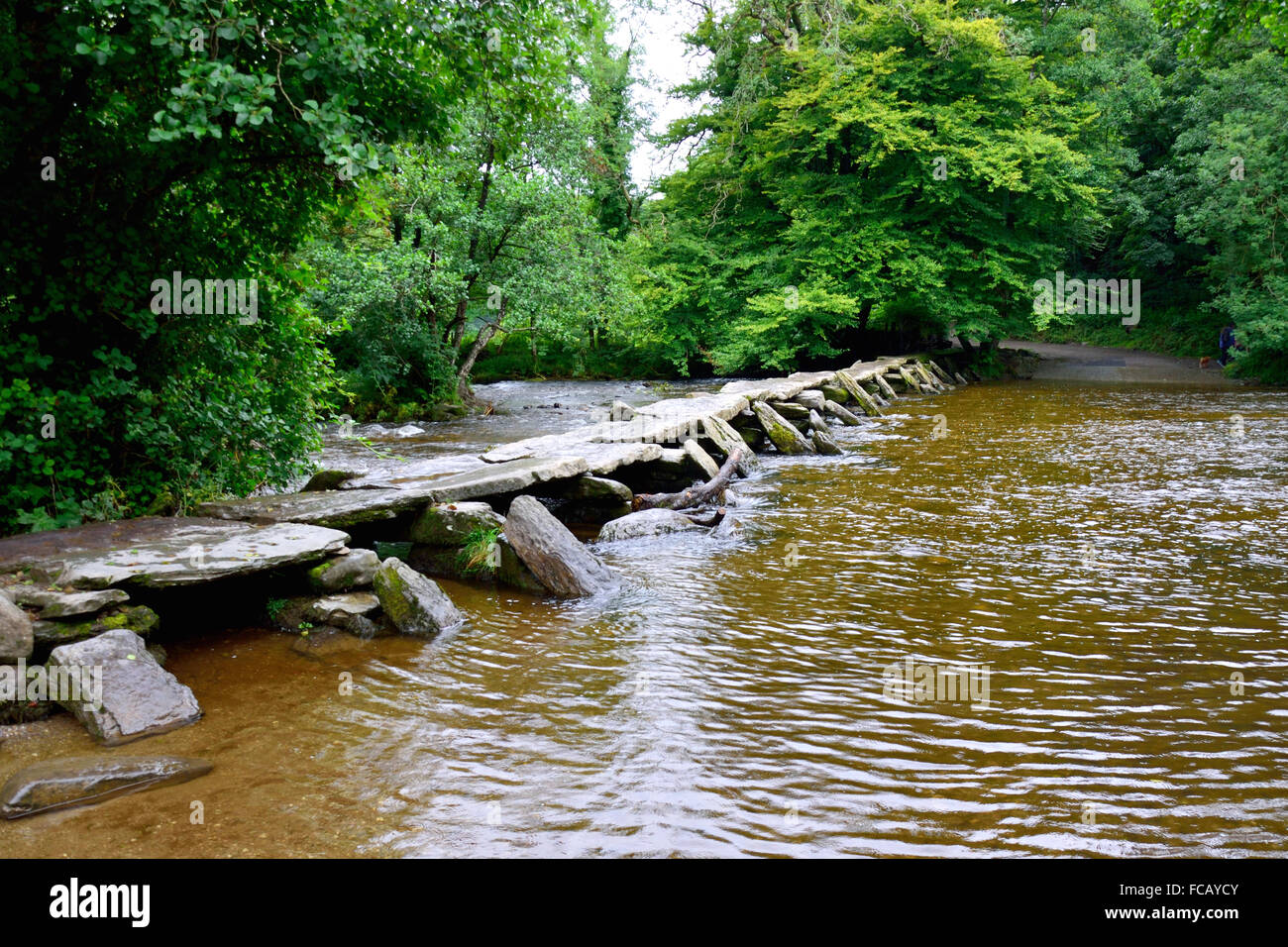 Tarr steps immagini e fotografie stock ad alta risoluzione - Alamy