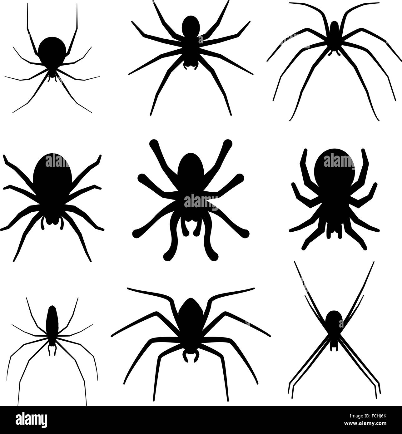 Sagoma di ragno Immagini Vettoriali Stock - Alamy