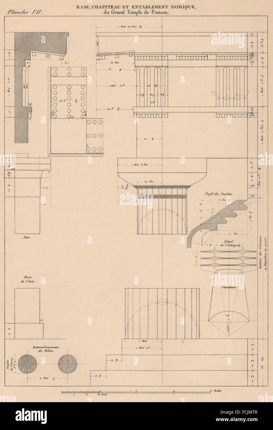 Architettura dorico: Grande Tempio, Paestum. Base, capitale e ...