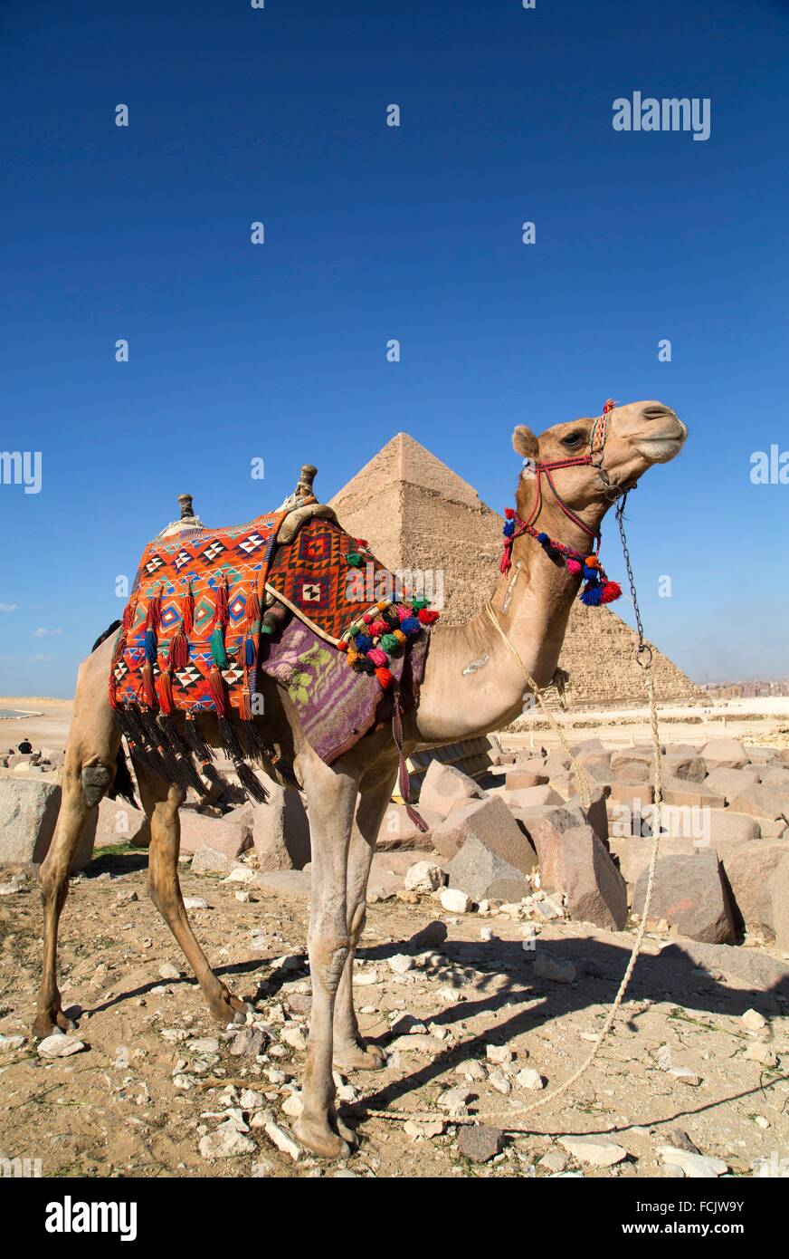 Sfondo piramidi egizie immagini e fotografie stock ad alta risoluzione ...