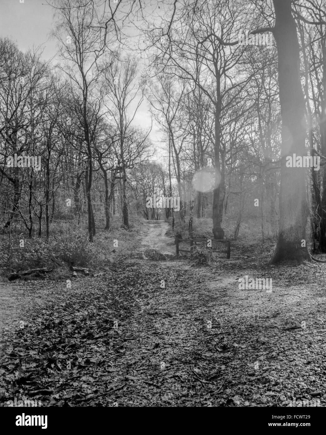 Ruislip lido immagini e fotografie stock ad alta risoluzione - Alamy