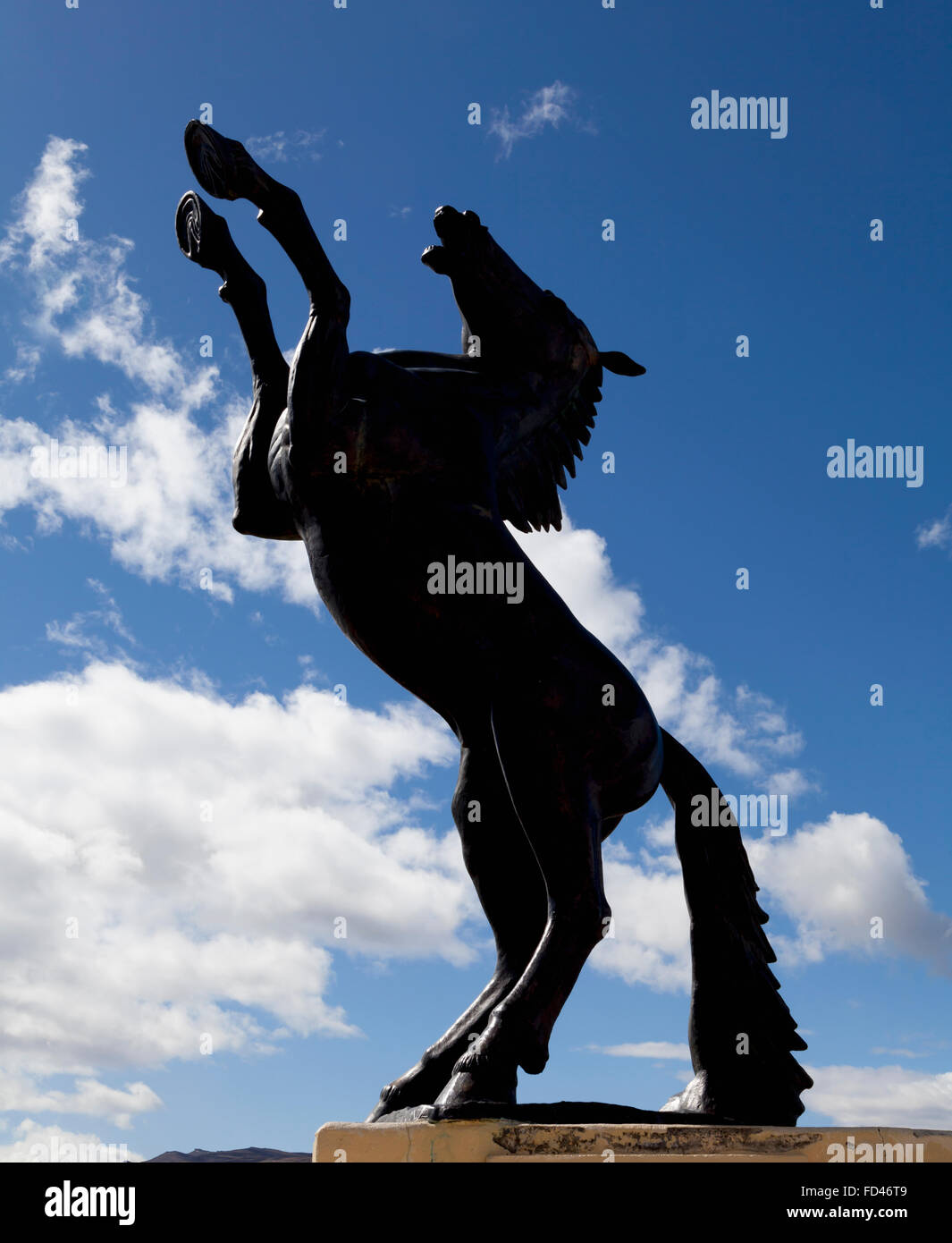 Sagoma di cavallo cielo blu immagini e fotografie stock ad alta ...