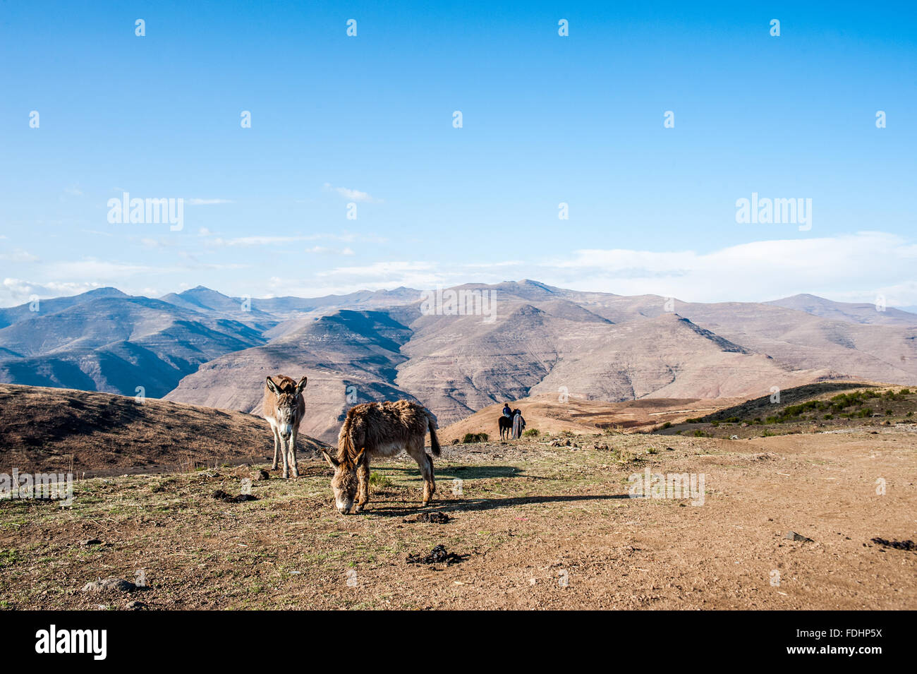 Pascolo Delle Montagne Immagini e Fotos Stock - Alamy