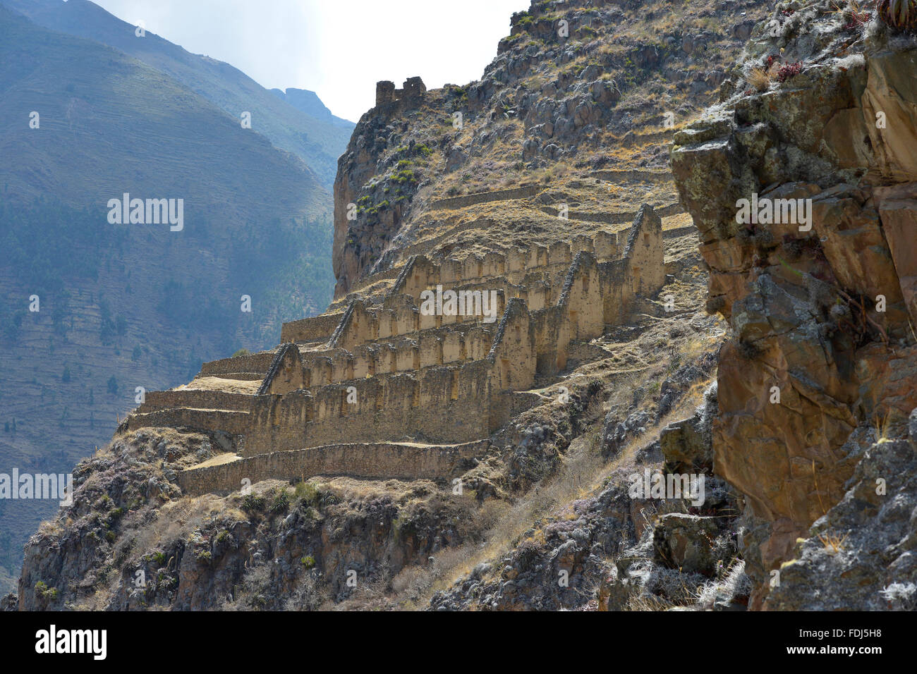 Il Perù, Ollantaytambo, Pinkulluna rovine Inca nella Valle Sacra in ...
