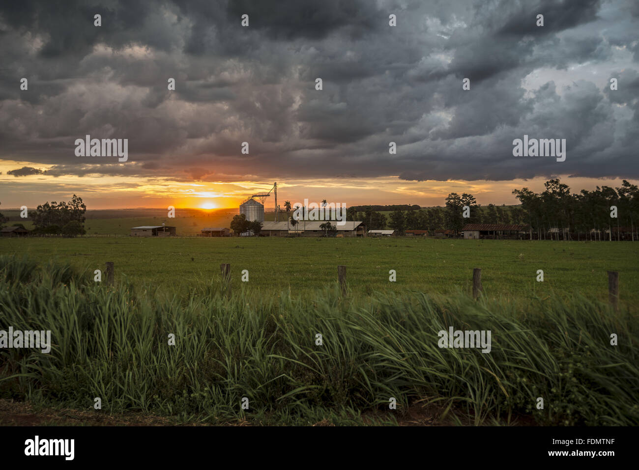 Silos di stoccaggio del grano di soia immagini e fotografie stock ad ...