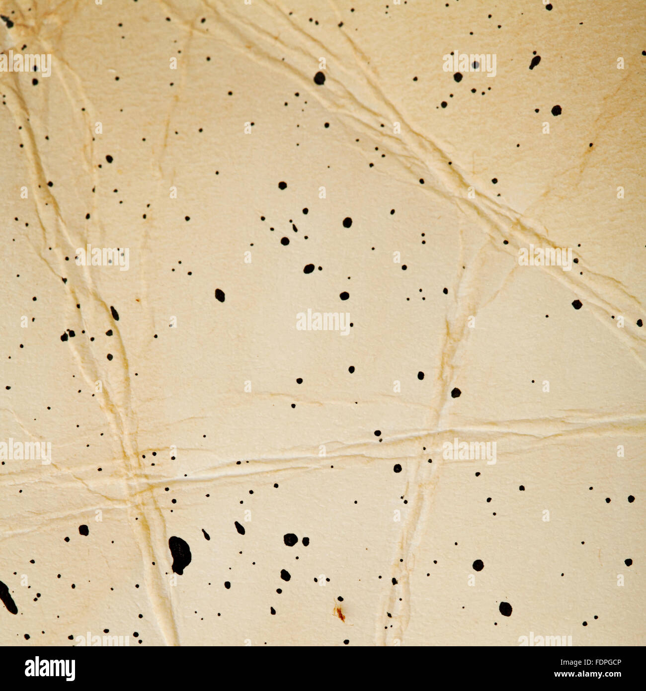 Pergamena Pergamena Carta Immagini e Fotos Stock - Alamy