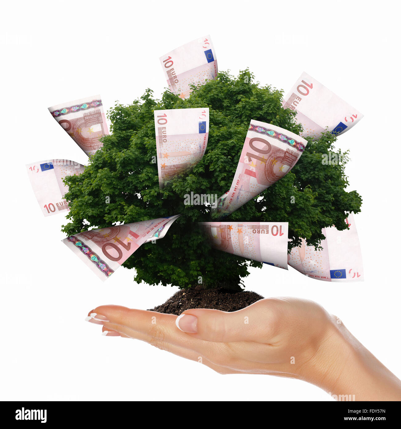 Money Tree con tagli sulla sua mano dell'uomo. un simbolo di successo ...