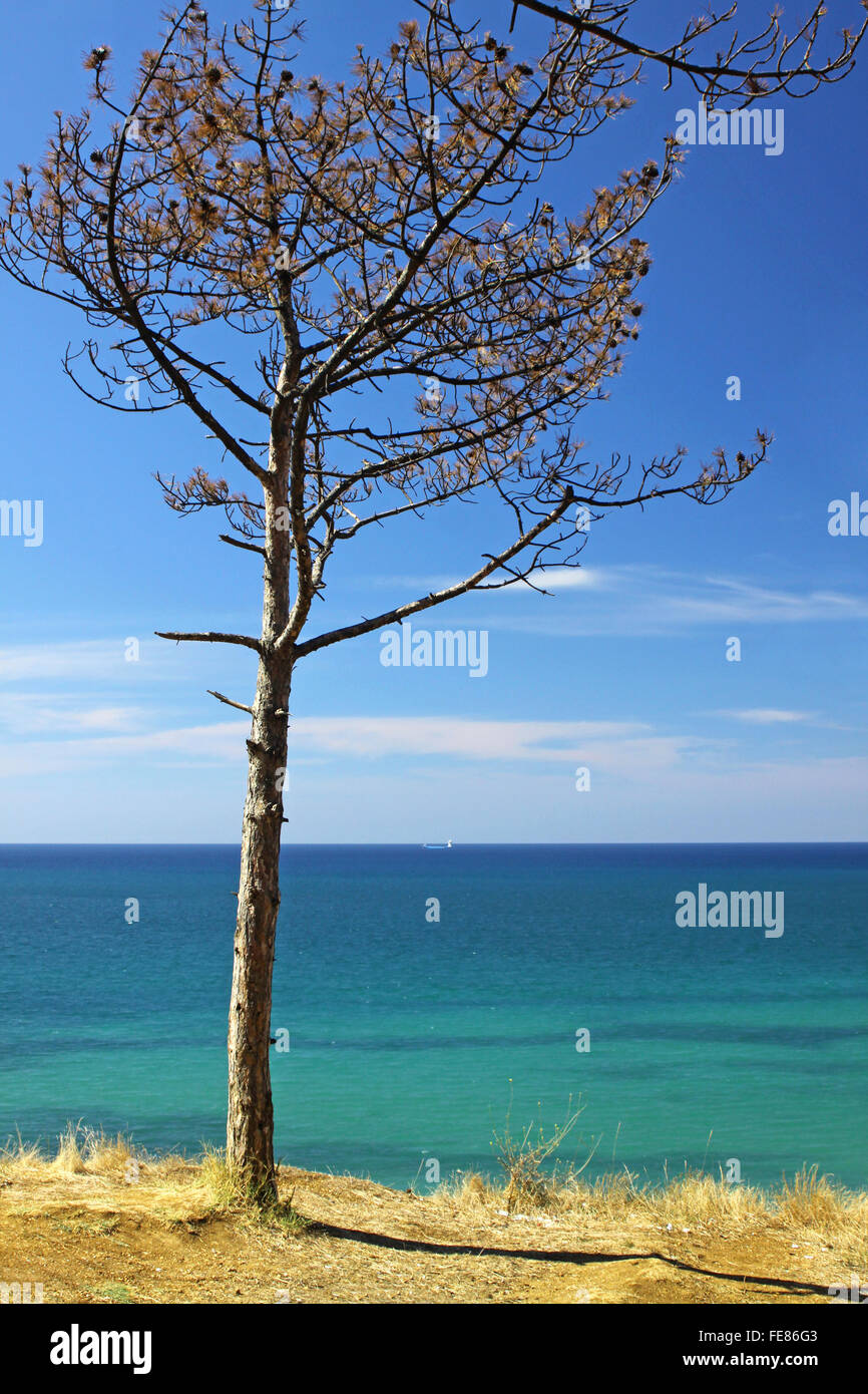 Estate mare immagini e fotografie stock ad alta risoluzione - Alamy