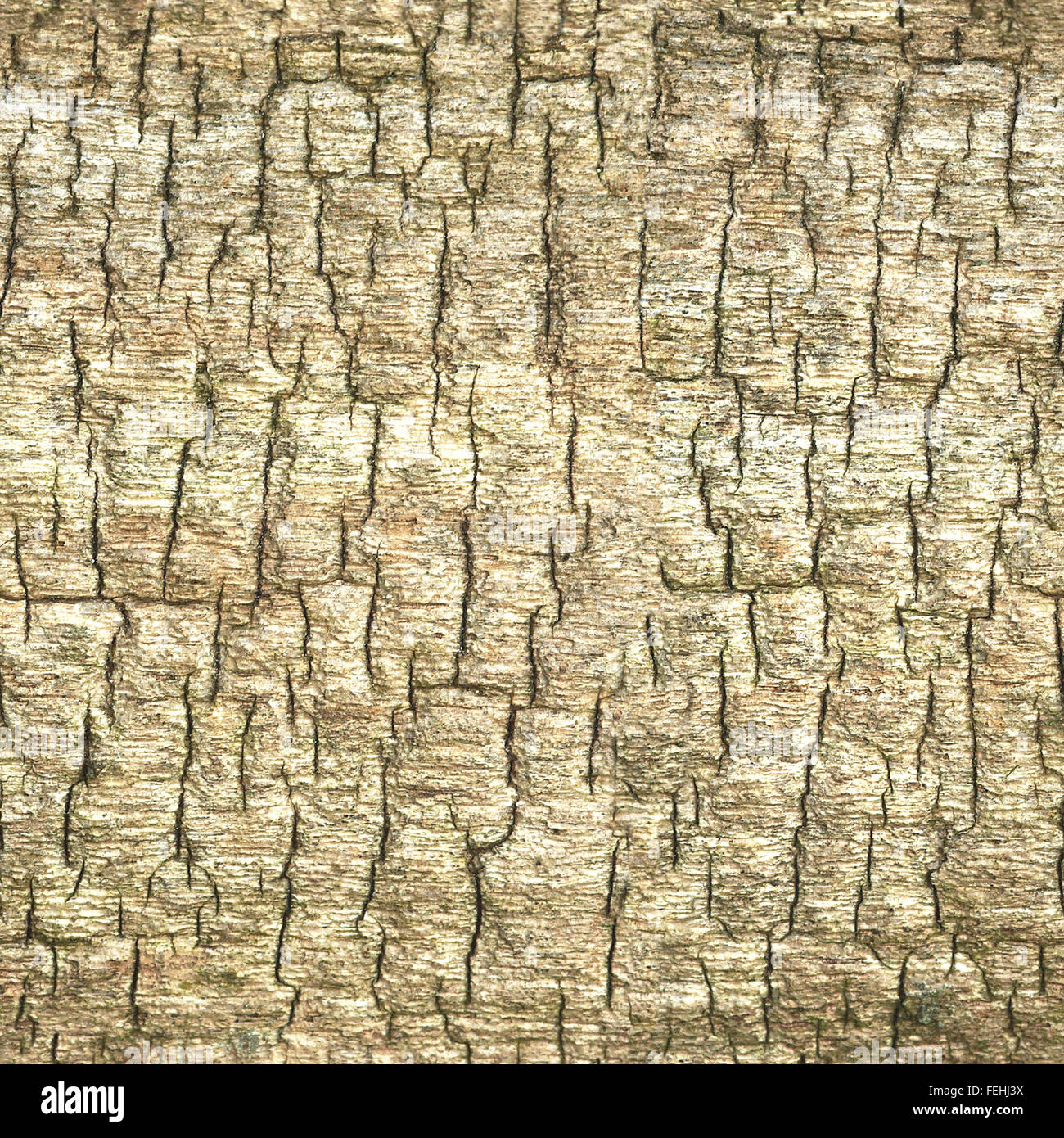 Seamless tileable wood texture immagini e fotografie stock ad alta ...