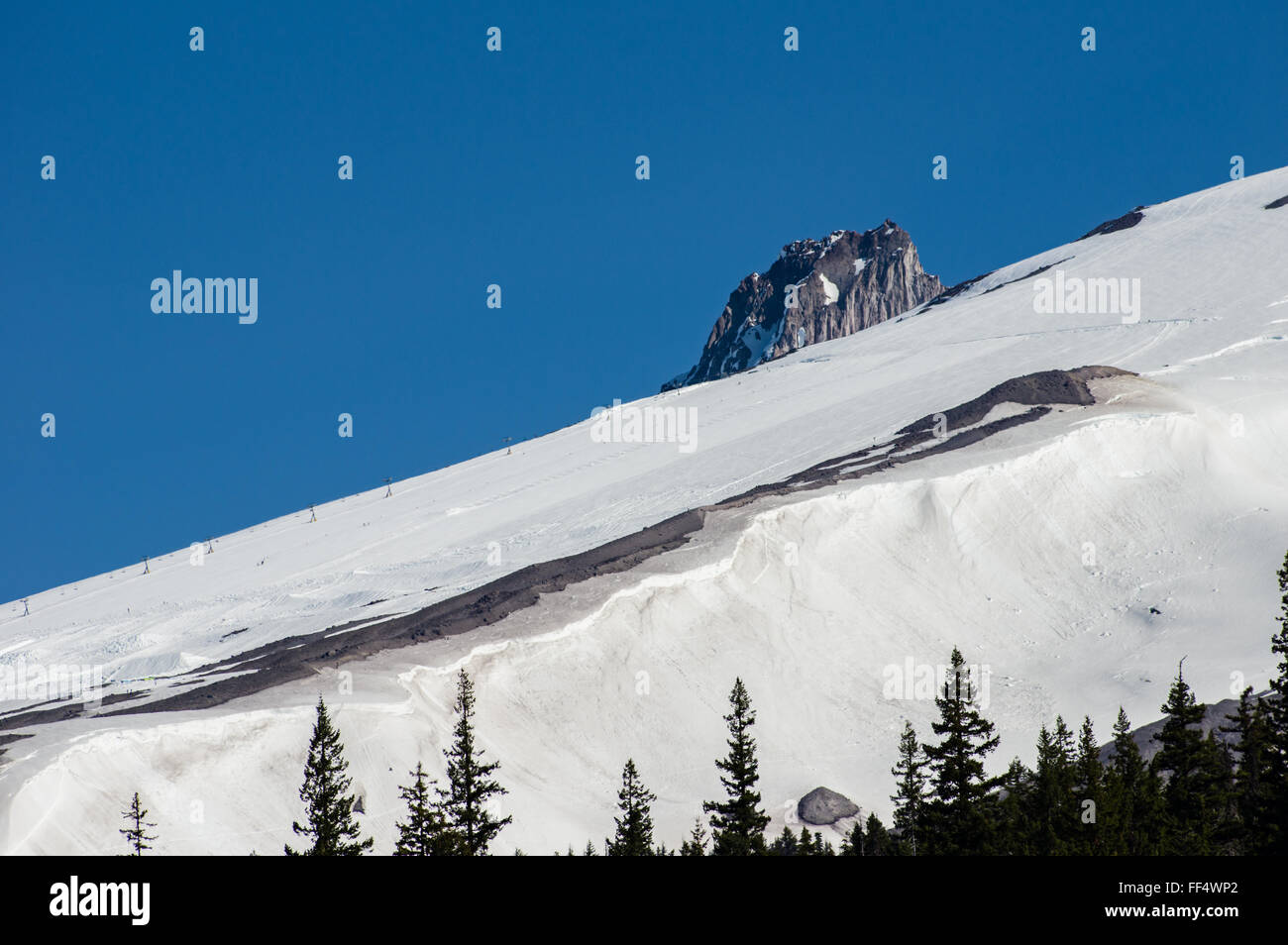 Skilift palmer immagini e fotografie stock ad alta risoluzione - Alamy