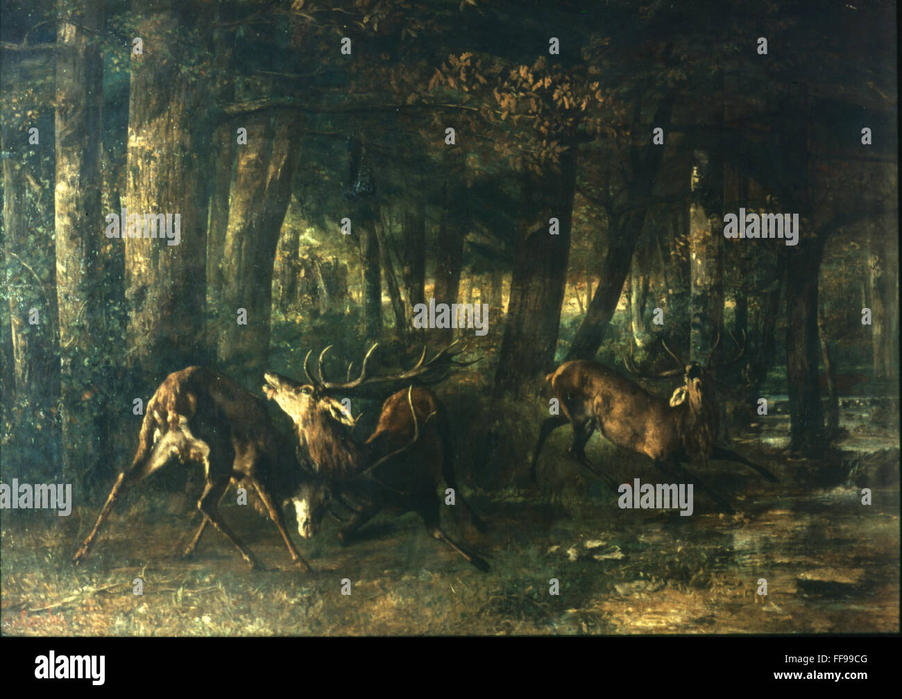 COURBET: cervi, 1861. /NGustave Courbet: combattimento cervi. Olio su ...