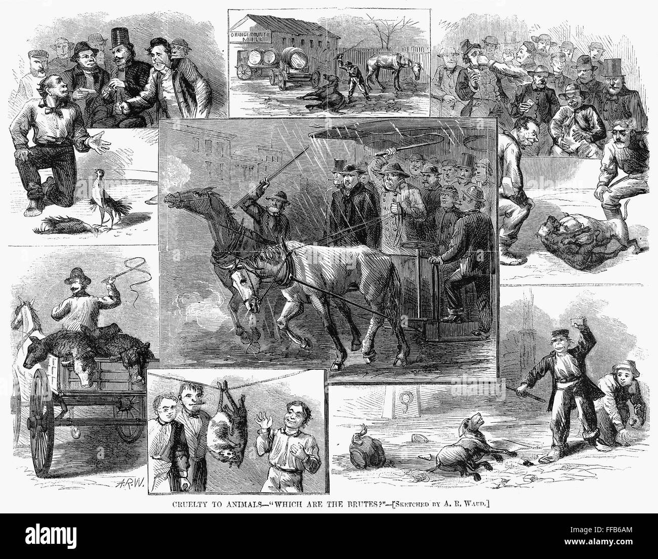 La crudeltà sugli animali, 1867. /NAn 1867 giornale americano incisione ...