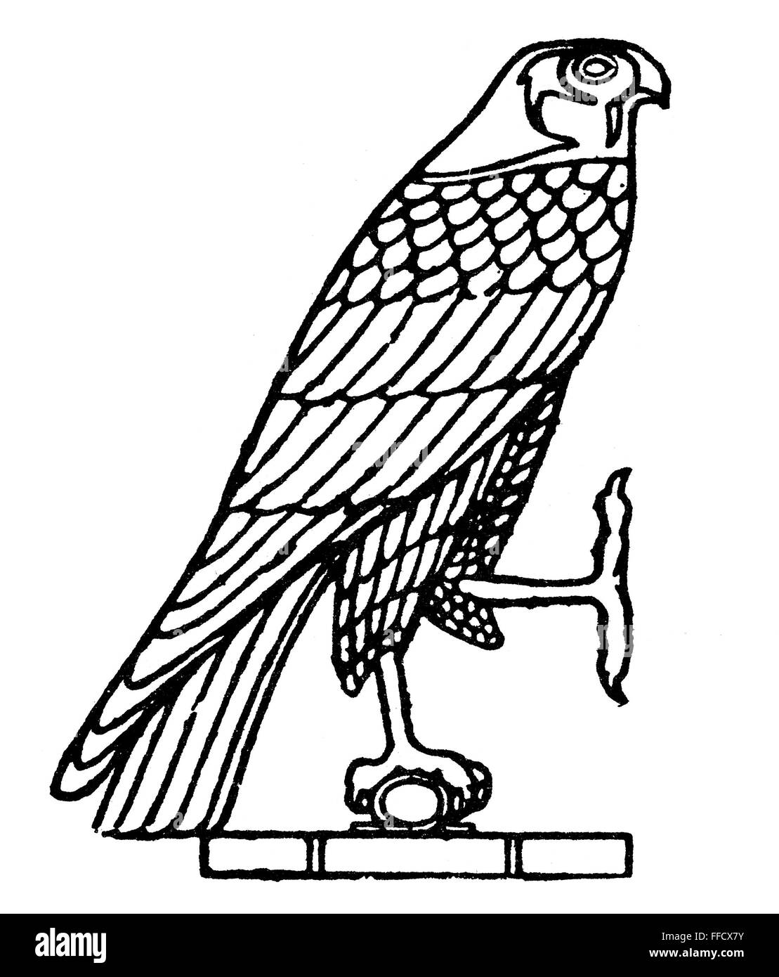 Simbolo EGIZIO: Falcon. /Nil Falcon, un antico simbolo egizio che ...