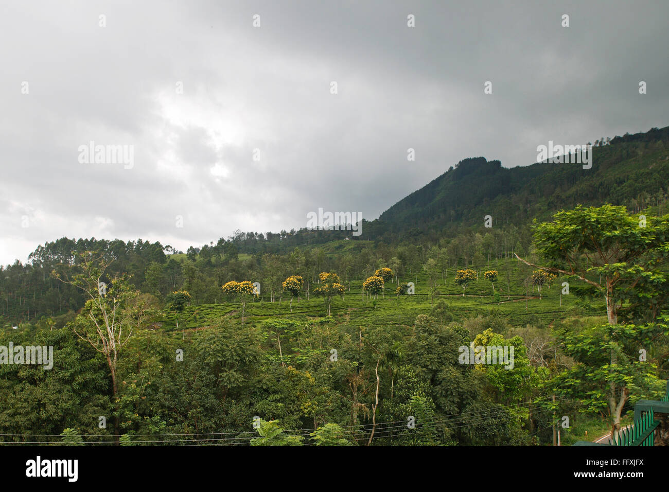 Sã© ma paese immagini e fotografie stock ad alta risoluzione - Alamy